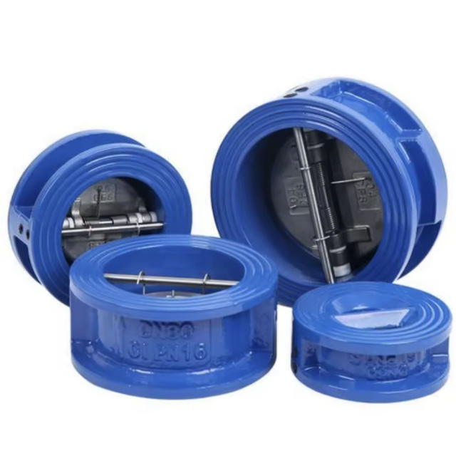 Check Valves