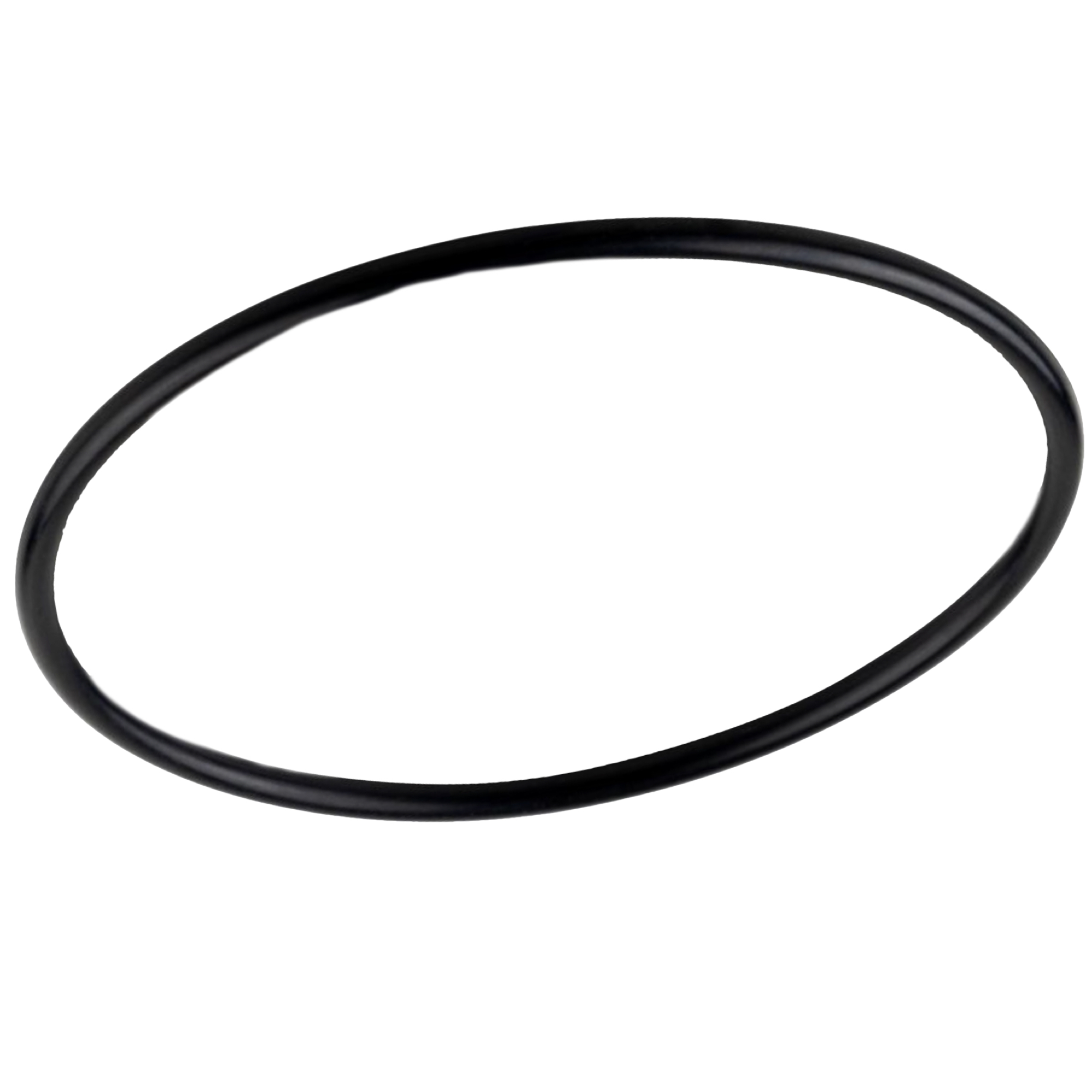 Netafim Manual Plastic Disc Filter Cover O-ring | eBay