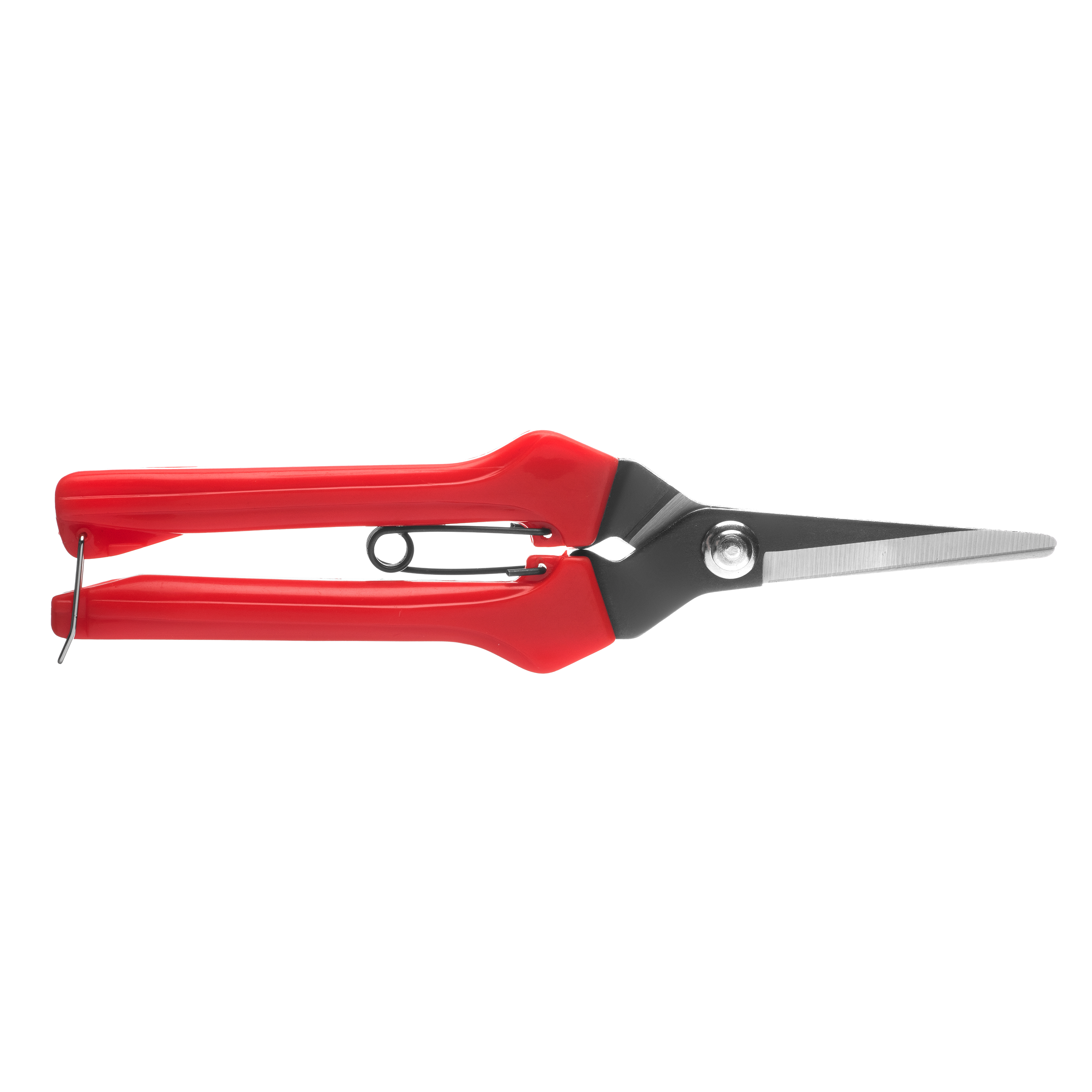 Trimming Shears | Drip Depot